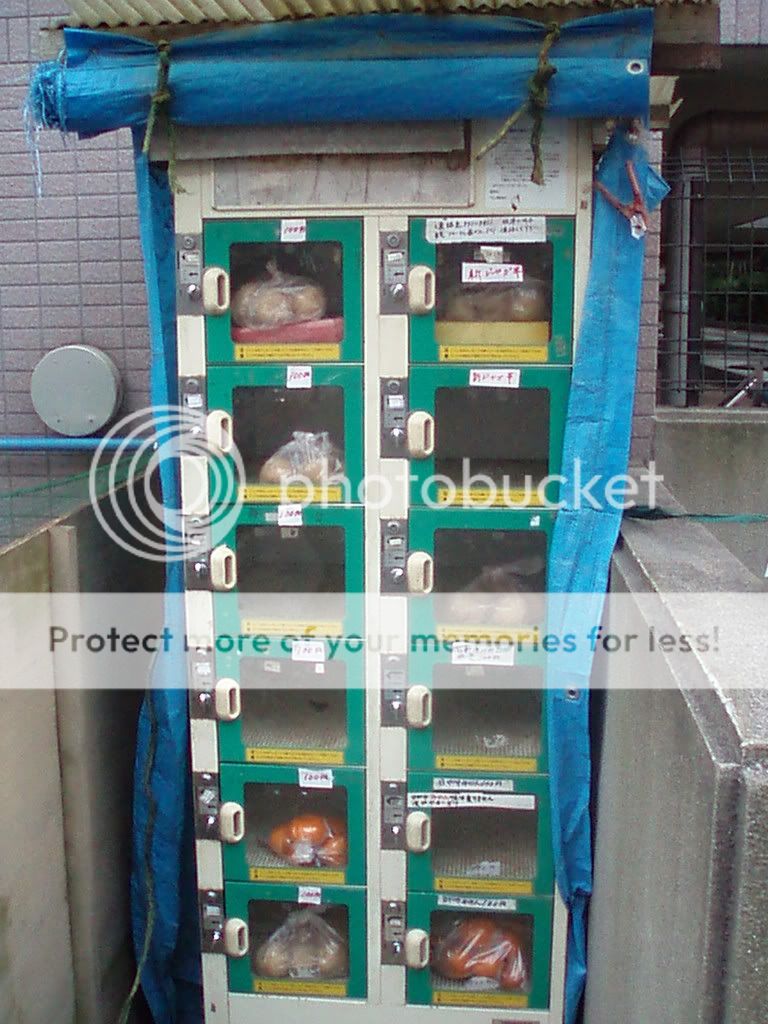 Vegetable Vending Machine | Project Van